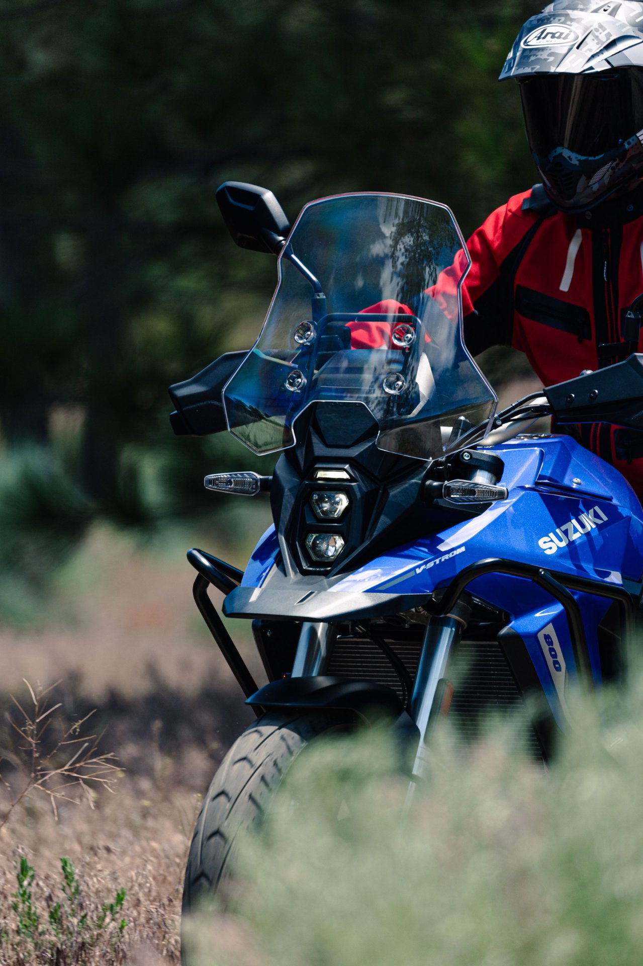 V-STROM 800